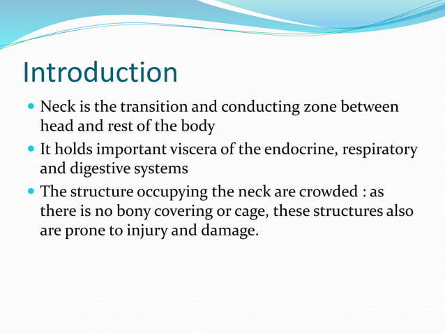 Deep fascia of Neck | PPTX