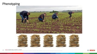 FIRA 2016: Bosch Deepfield Robotics | PPT