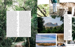 Deep Forest – Gal Oya National Park | PPT