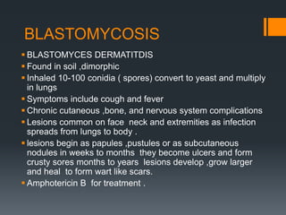 Deep fungal infections | PPTX