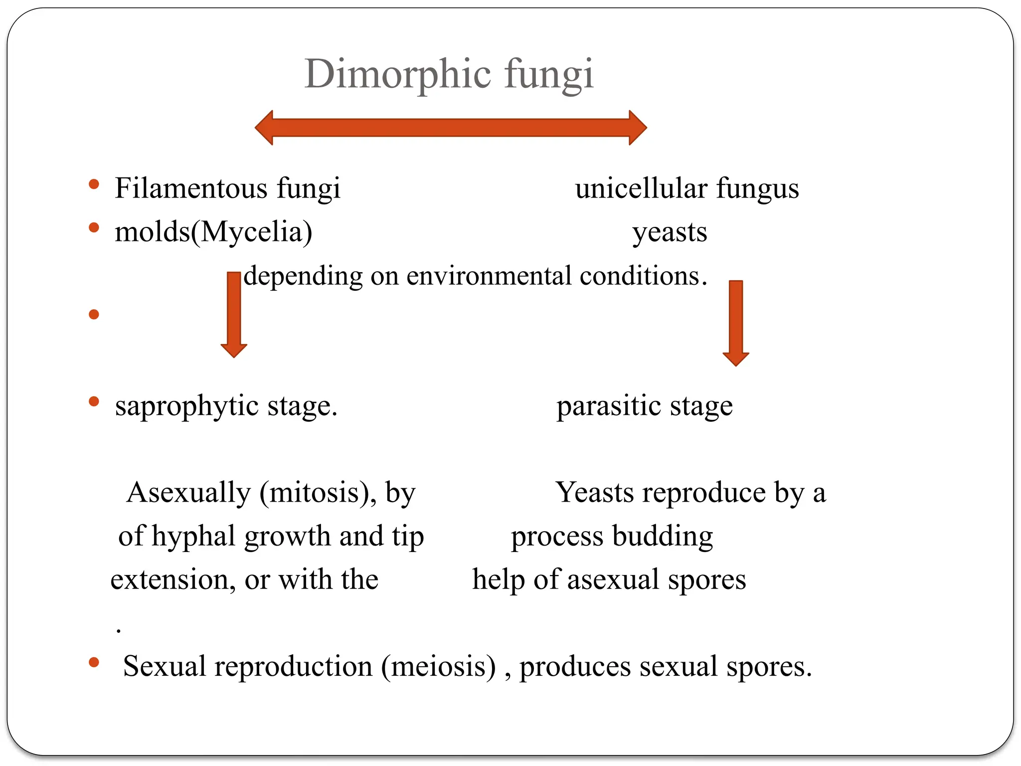 DEEP FUNGAL INFECTIONS-Candida, Aspergillus | PPTX