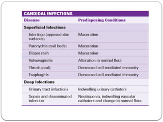 DEEP FUNGAL INFECTIONS-Candida, Aspergillus | PPTX