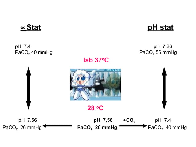 Deep hypothermic circulatory arrest in pediatric cardiac sur | PPT ...