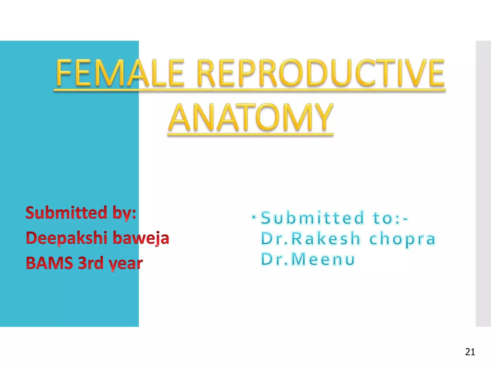 Anatomy Of Female Reproductive System Ppt