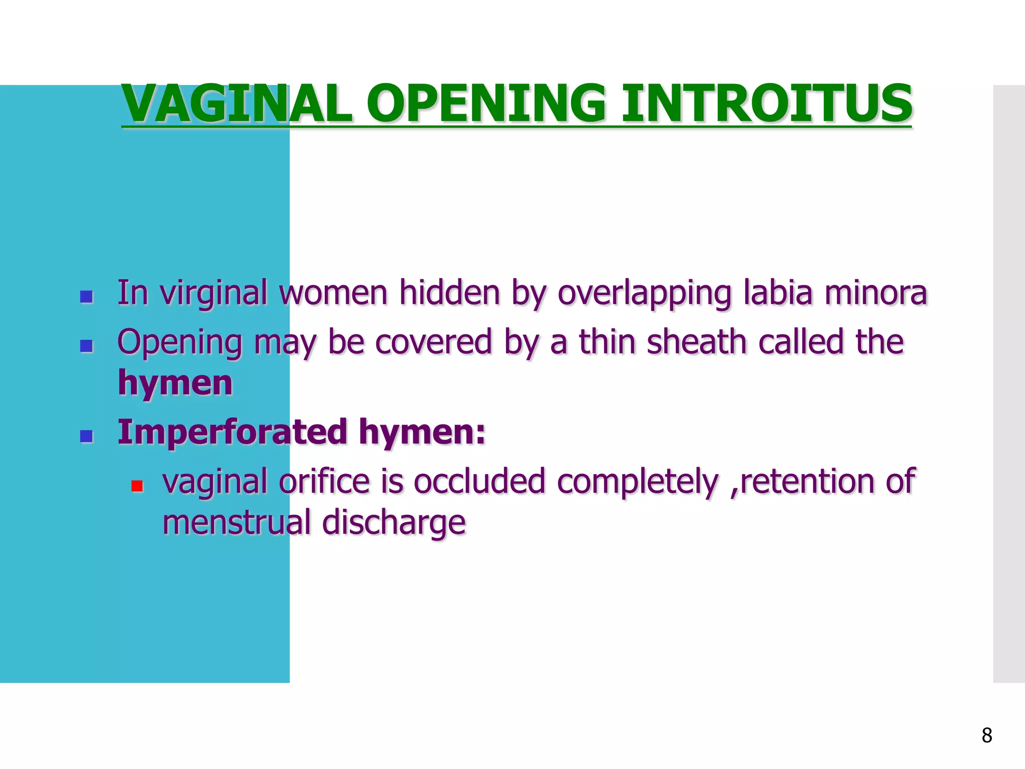 ANATOMY OF FEMALE REPRODUCTIVE SYSTEM | PPTX