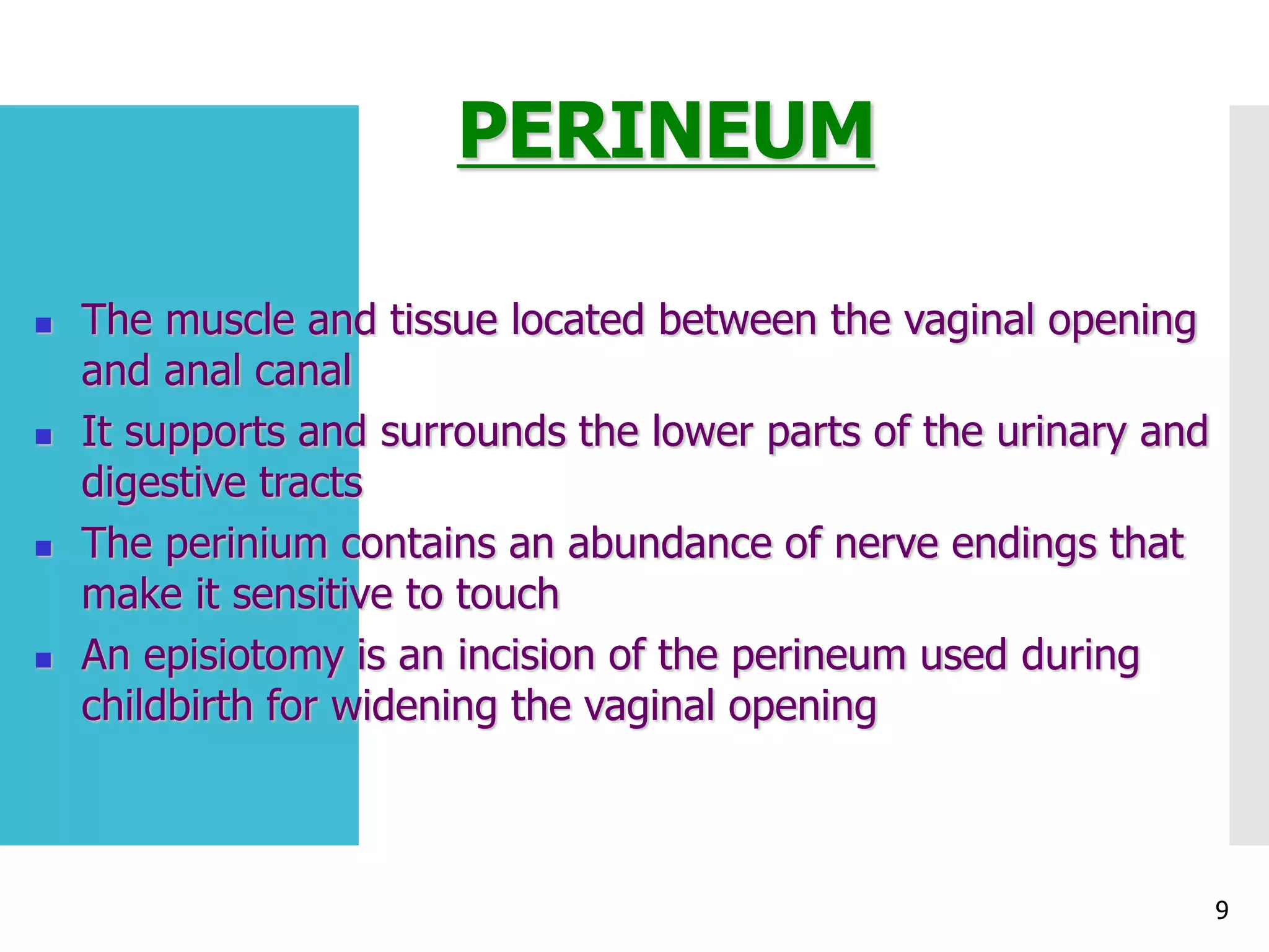 ANATOMY OF FEMALE REPRODUCTIVE SYSTEM | PPTX