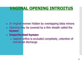 ANATOMY OF FEMALE REPRODUCTIVE SYSTEM | PPT