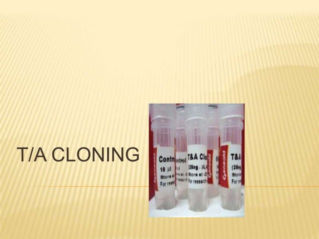 T/A CLONING | PPTX