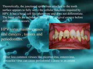 viruses in periodontal disease | PPTX