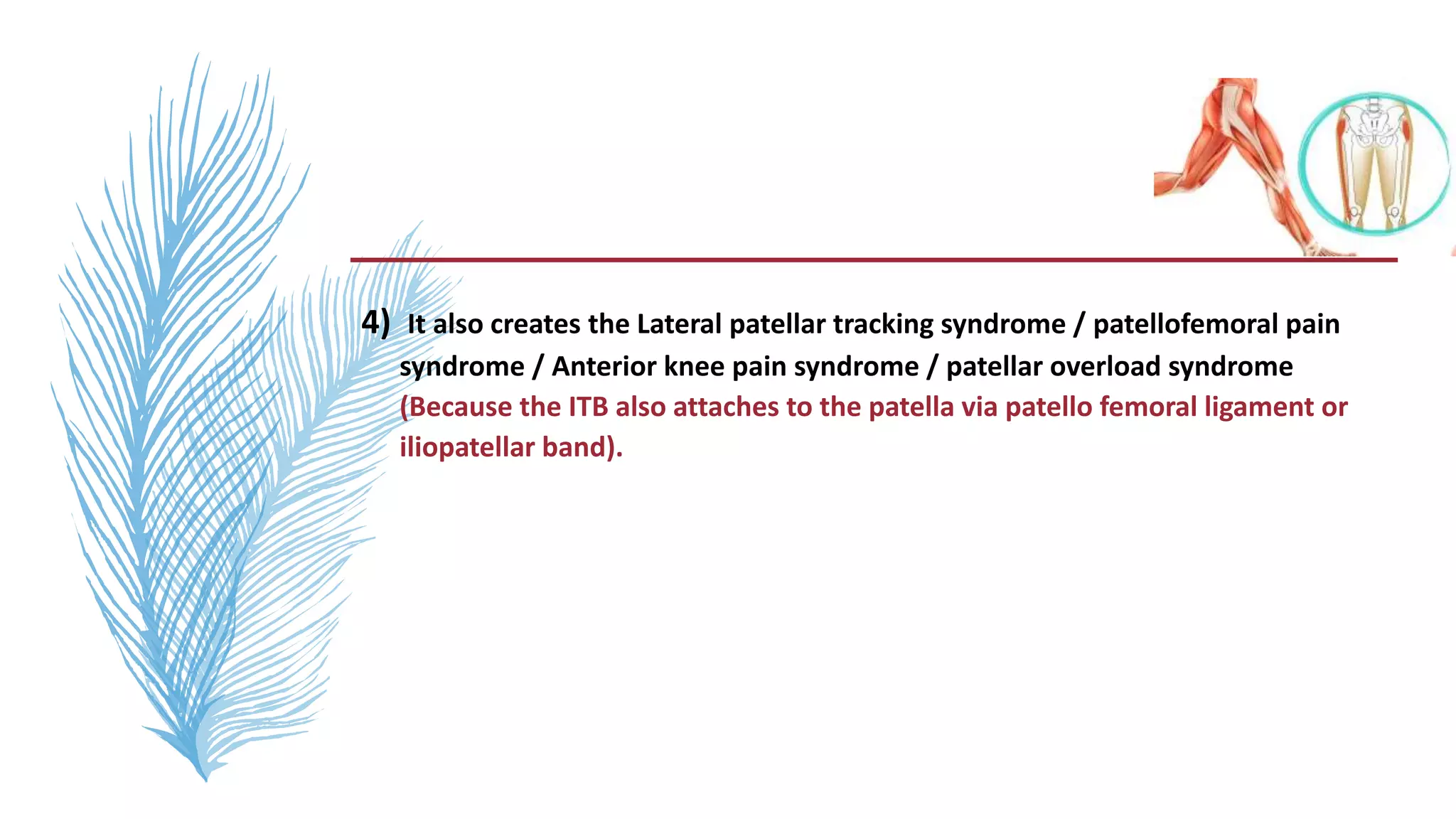 Deep layer of (Iliotibial) IT band | PPTX