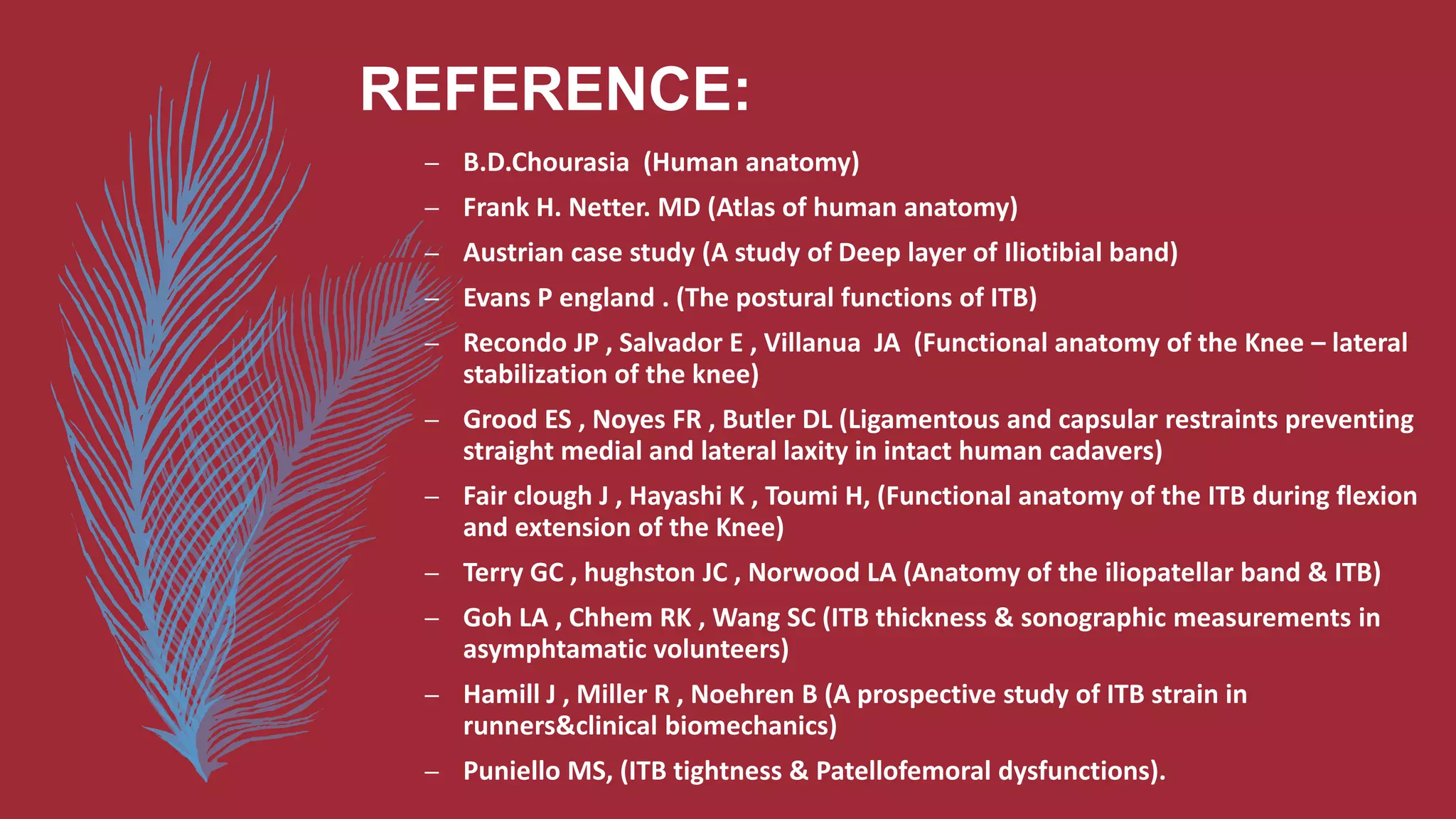 Deep layer of (Iliotibial) IT band | PPTX