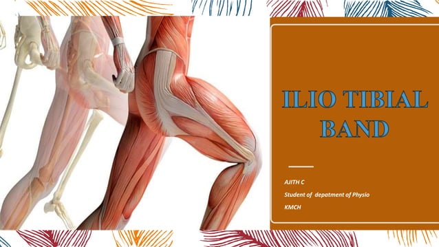 Deep layer of (Iliotibial) IT band | PPTX
