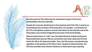 Deep layer of (Iliotibial) IT band | PPTX