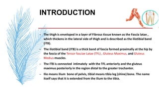 Deep layer of (Iliotibial) IT band | PPTX
