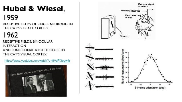 Deep Learning - STM 6