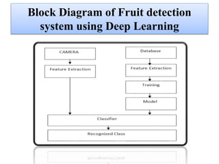 Deep learning | PPTX