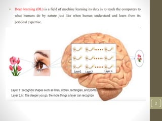 Deep learning (2) | PPTX