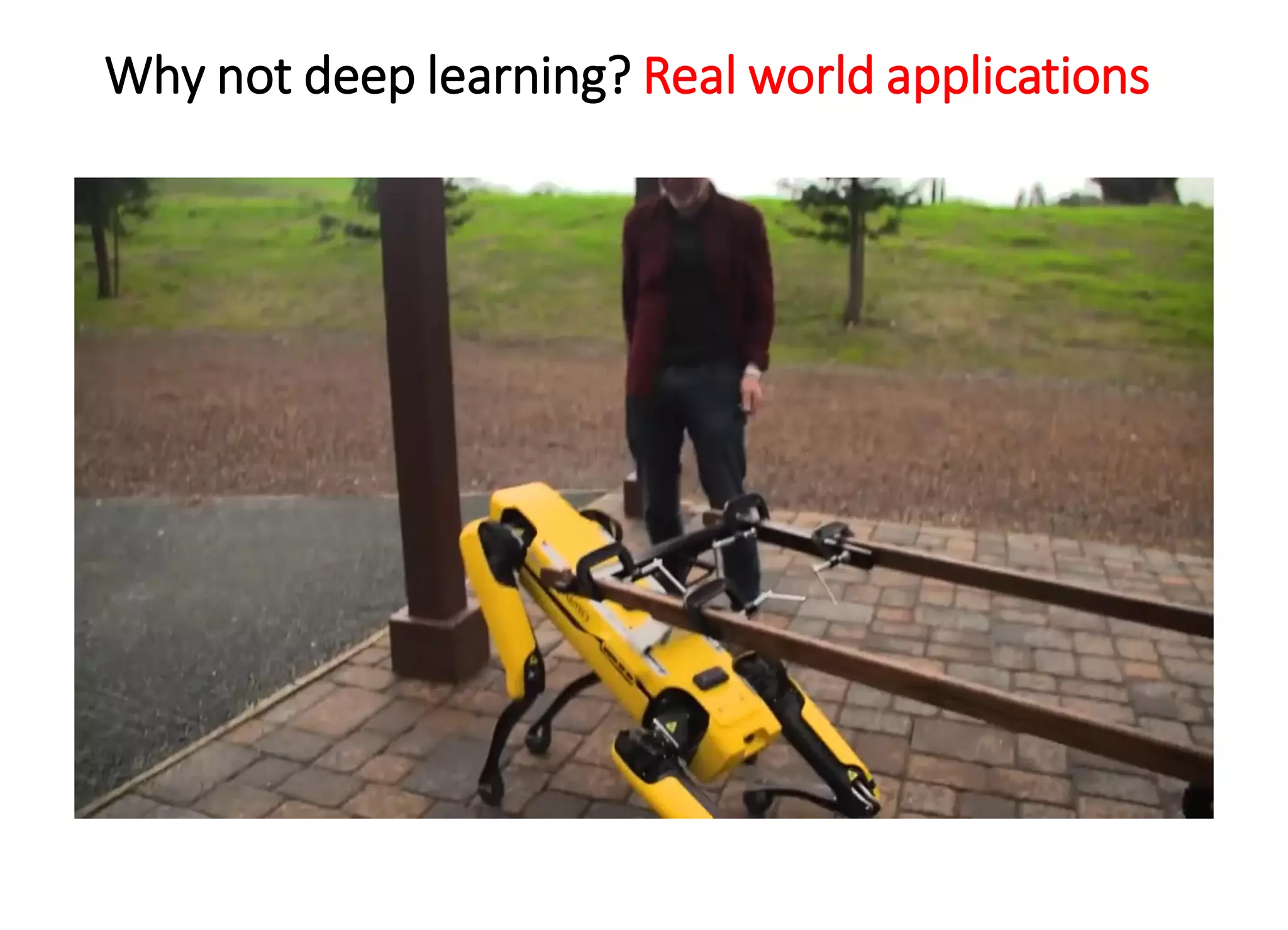 Deep learning for real life applications | PDF