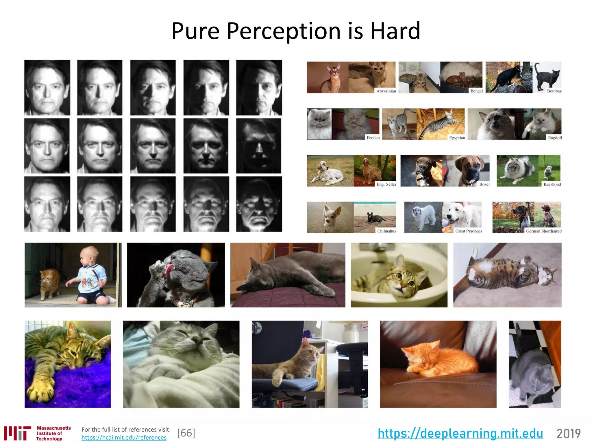 Mit Deep Learning Basics Introduction And Overview By Lex Fridman Pdf