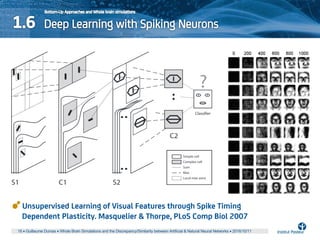 Whole Brain Simulations and the Discrepancy/Similarity between ...