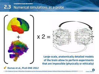 Whole Brain Simulations and the Discrepancy/Similarity between Artificial & Natural Neural ...