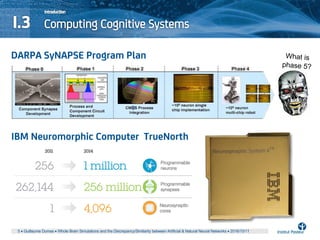 Whole Brain Simulations and the Discrepancy/Similarity between ...