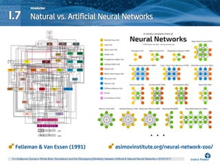 Whole Brain Simulations and the Discrepancy/Similarity between ...