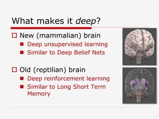 Deep learning in a brain (skolkovo 2016) | PPT