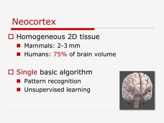 Deep learning in a brain (skolkovo 2016) | PPT