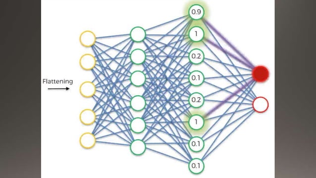 Deep Learning and Convolutional Neural Networks | PPT