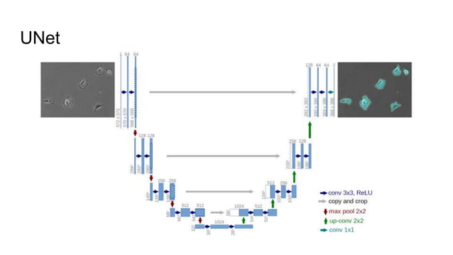 Deep learning revolution | PPT