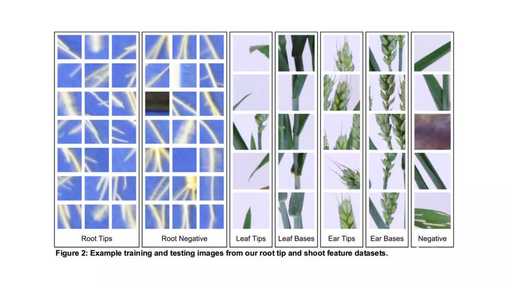 Deep learning segmentation | PPTX