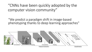 Deep learning segmentation | PPTX