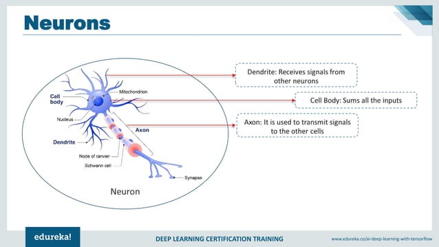 Deep Learning With Python Tutorial | Edureka | PDF