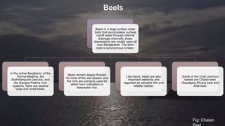 Deeply flooded soil in Bangladesh.pptx