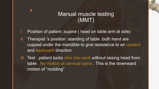 Deep neck flexors final | PPTX