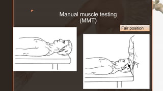 Deep neck flexors final | PPTX