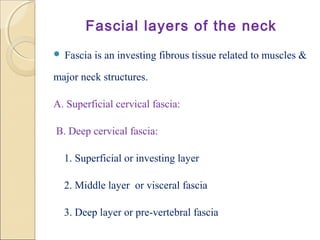 Deep neck infection | PPT