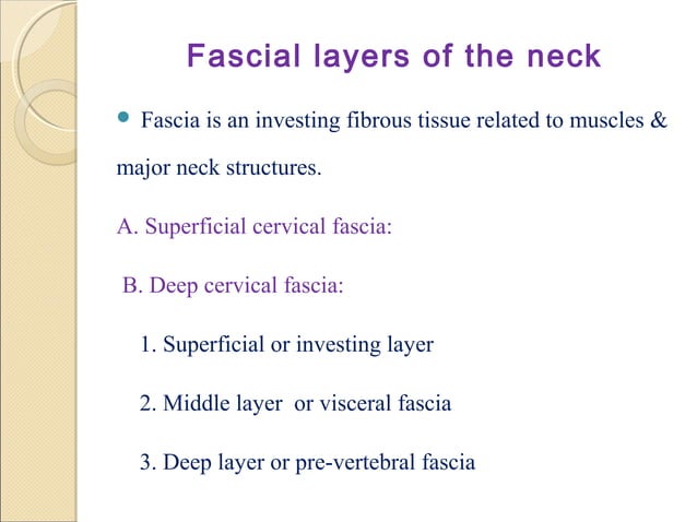 Deep neck infection | PPT | Ear, Nose and Throat Conditions | Diseases ...