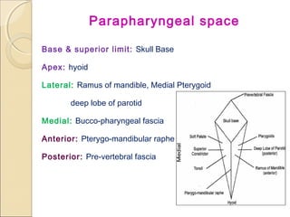 Deep neck infection | PPT