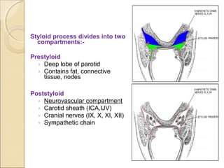 Deep neck infection | PPT