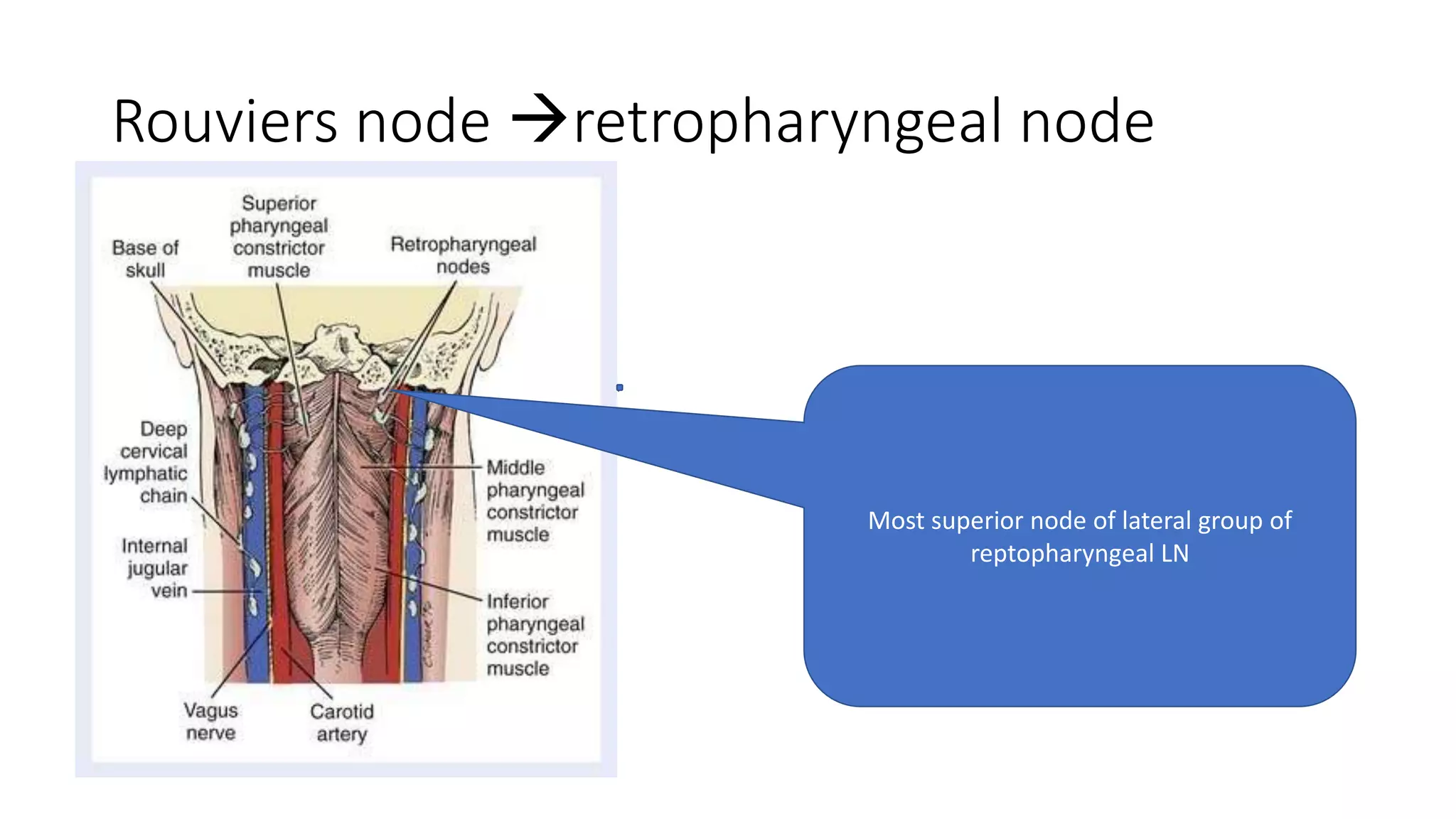 Deep neck space infection ENT REVISION NOTES | PPTX
