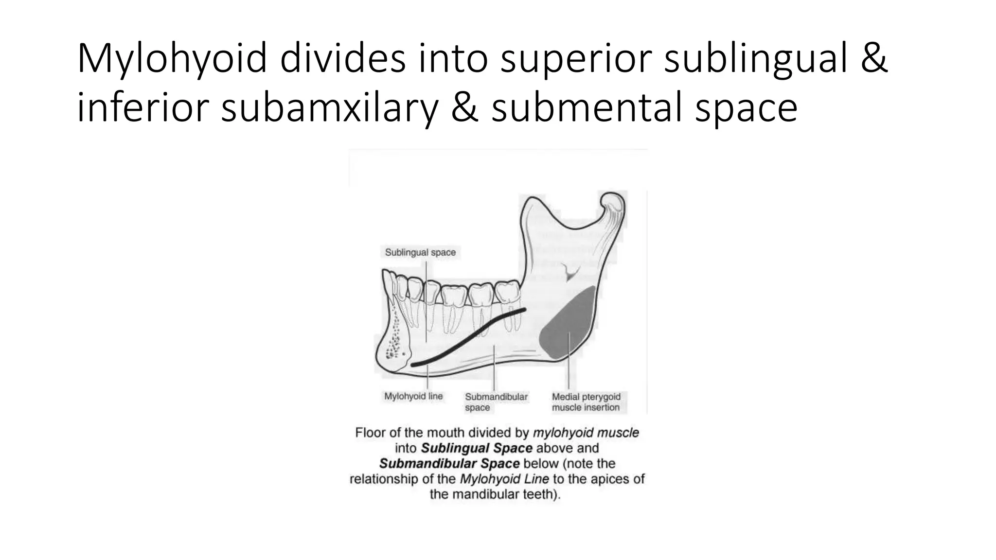 Deep neck space infection ENT REVISION NOTES | PPTX
