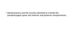 Deep neck space infection ENT REVISION NOTES | PPTX