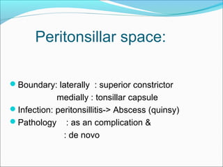 Deep neck space infections | PPT