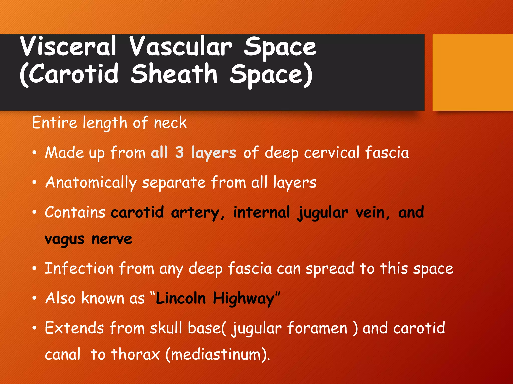 DEEP NECK SPACE INFECTIONS - DR ADITYA GOEL (MS-ENT) | PPTX