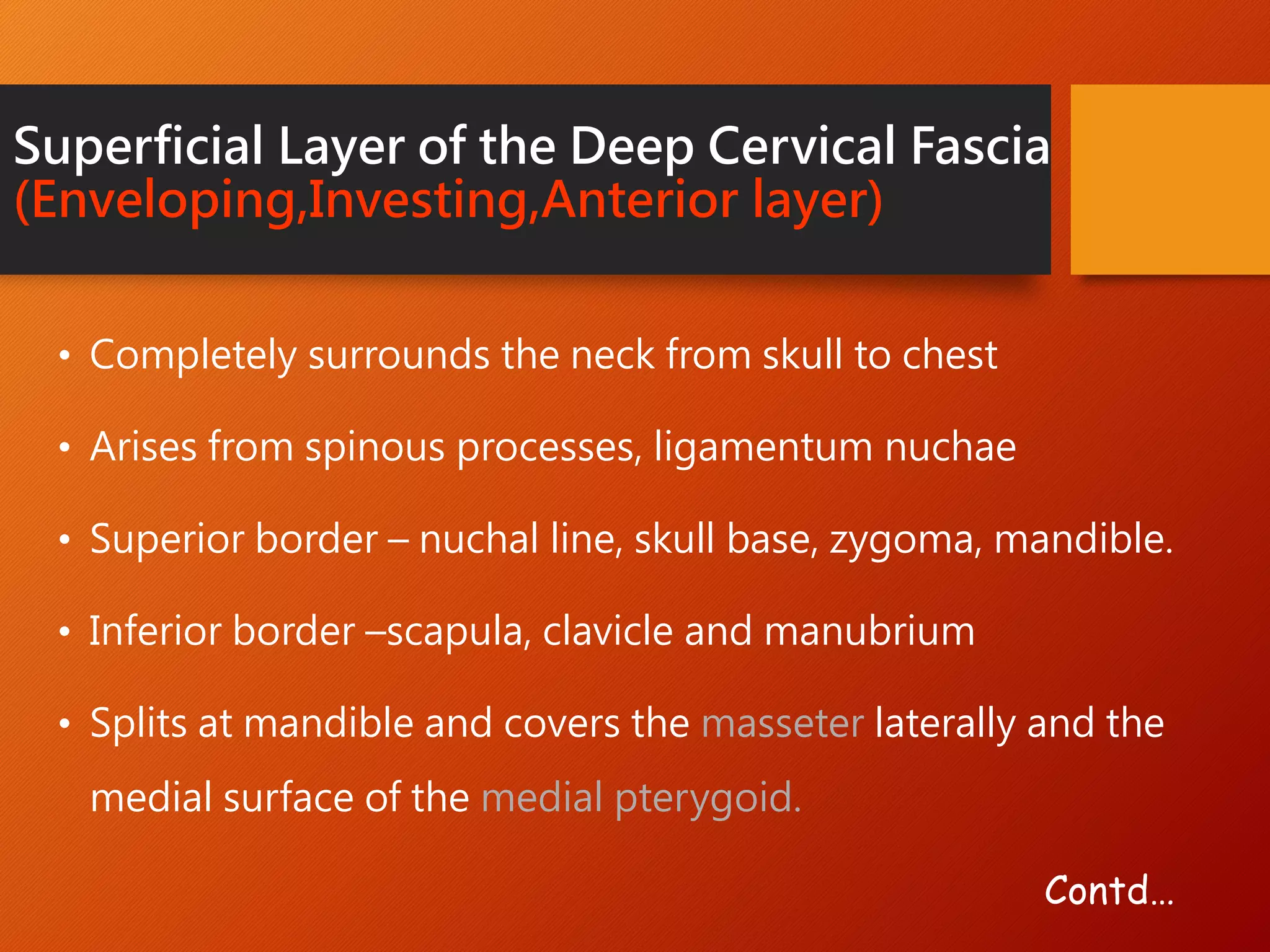 Deep Neck Space Infections Dr Aditya Goel Ms Ent Ppt
