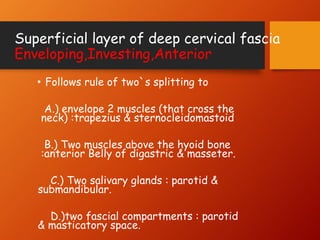 DEEP NECK SPACE INFECTIONS - DR ADITYA GOEL (MS-ENT) | PPTX
