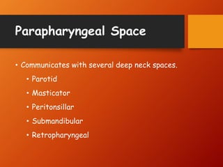 DEEP NECK SPACE INFECTIONS - DR ADITYA GOEL (MS-ENT) | PPTX