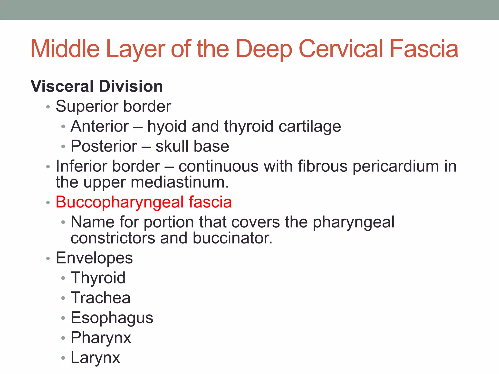 Deep neck spaces and surgical anatomy | PPTX
